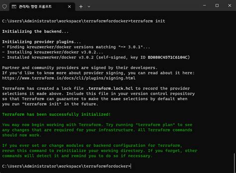 테라폼을 사용하여 Docker 예제를 실행하는 방법