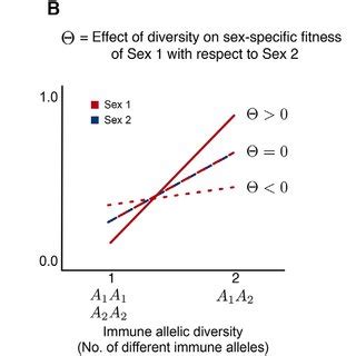 Schematic Representation Of Different Scenarios Of Sex Specific Download Scientific Diagram