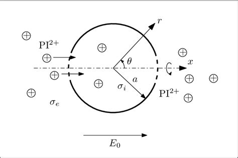 A Schematic Of The Problem R θ Denotes The Spherical Coordinate
