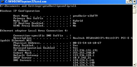 Information4all Windows IP Configuration Tool Ipconfig