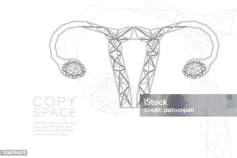 난소 및 자 궁 모양 와이어 프레임 다각형 Siver 프레임 구조 의학 과학 오르간 개념 디자인 그림 복사 공간을 가진 검은 그라데이션 배경에 고립 벡터 Eps 10 강철에