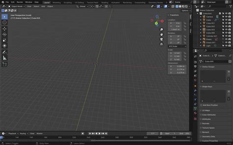 Why Cant I See My Work In Blender I Tried Rendering It And It Showed