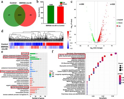 Rna Seq Analysis A Venn Diagram Of The Genes In Control And Bbr Ba Download Scientific Diagram