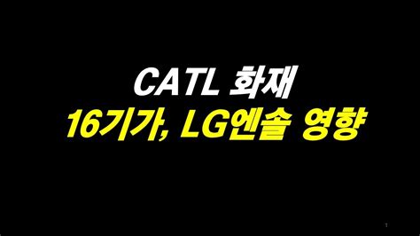16기가 차질 테슬라 Lg엔솔 영향 장기화 Youtube