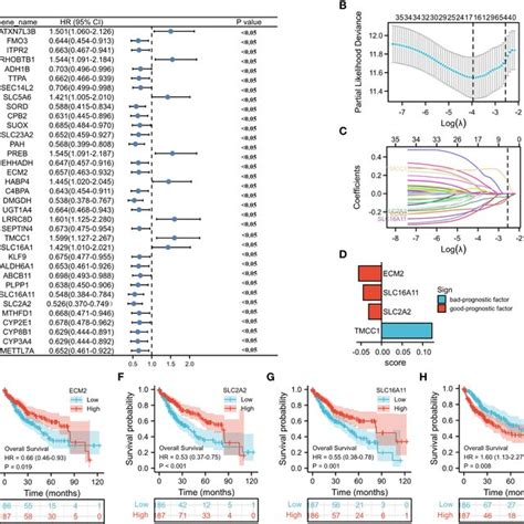 Construction Of A Prognostic Model A Forest Plot Displays The