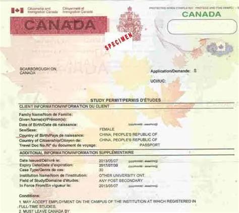 Steps To Obtaining A Study Permit Akrami And Associates Immigration Law