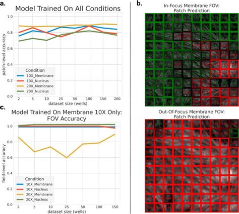 Gautam Wali On Linkedin Foca A Deep Learning Tool For Reliable Near Real Time Imaging Focus