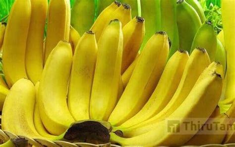 வாழைப்பழம் சாப்பிடுவதால் ஏற்படும் நன்மைகள் Valaipalam Benefits In Tamil