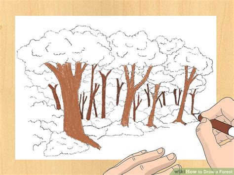 Ways To Draw A Forest WikiHow