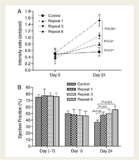 Myocardial Perfusion And Cardiac Function Over Time A In Myocardial Download Scientific
