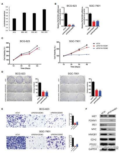 6 2分 生信 实验 经典套路，永不过时（一篇单基因泛癌的文章可以拆分成多个肿瘤单独发） 知乎
