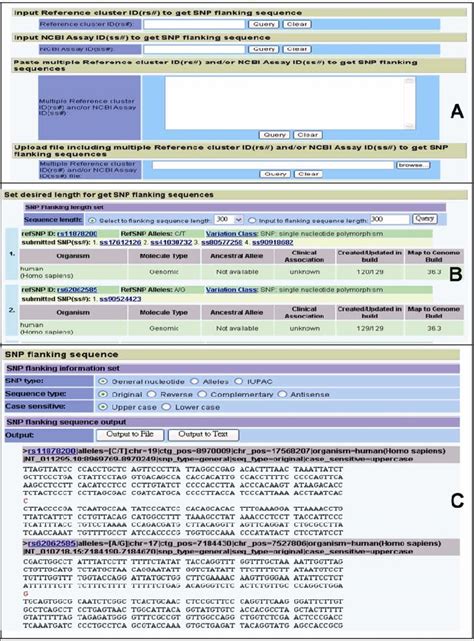 A Web Snapshot A Four Input Interfaces B Snp Information And