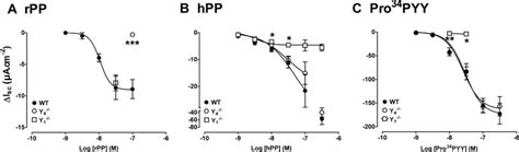 Noncumulative Concentration Response Curves For Y 4 And Y 1 Receptor Download Scientific