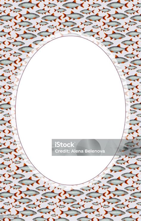 흰색 배경에 다양한 크기의 붉은 지느러미가 있는 물고기의 수채화 그림 프레임은 중간에 타원형의 흰색 창이 있습니다 배경 화면 로고 배너 아이콘 카드 전단지 섬유 엽서 포장지