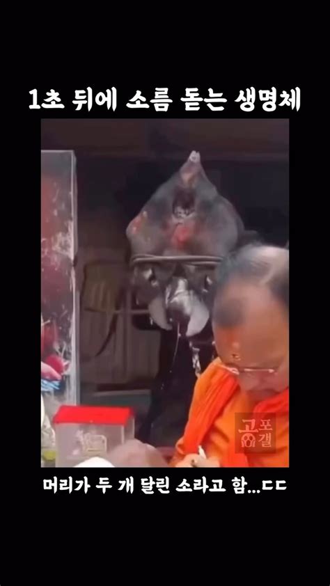 공포 갤러리 방금 여자 들어가지 않았어 괴담 괴담이야기 괴담썰 무서운이야기 무서운영상 무서운썰 공포 공포썰 소름 소름썰