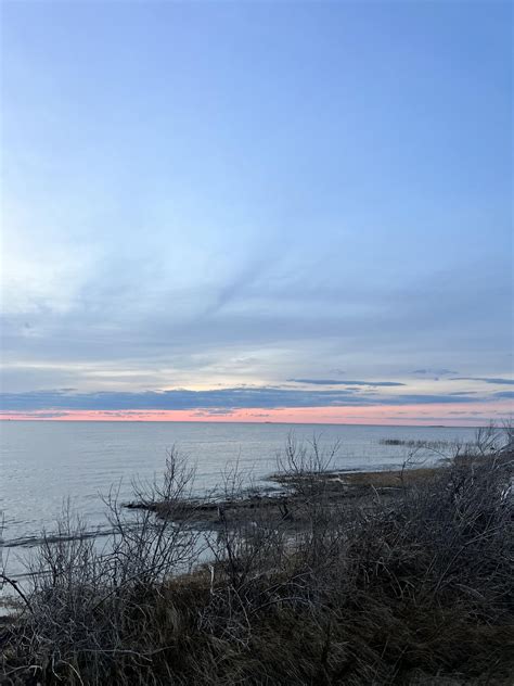 Lilliston Seafood Updated Their Cover Lilliston Seafood