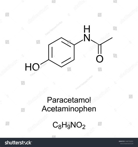 Paracetamol Formula Molecular Structure Known Acetaminophen Stock Vector Royalty Free