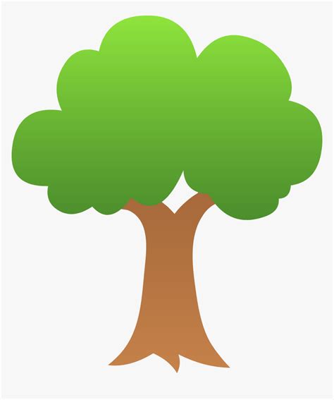 Clipart Tree Cross Section Tree Clipart Png Transparent Png Kindpng