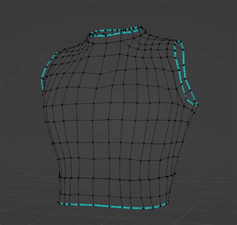 Mesh Top By Wilbur