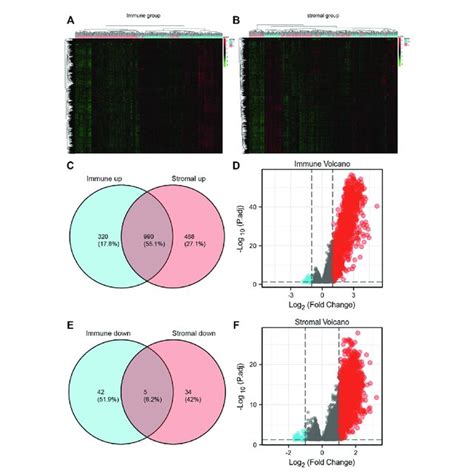 A B Heatmaps Of Gene Expression Profiles Of Samples Between High