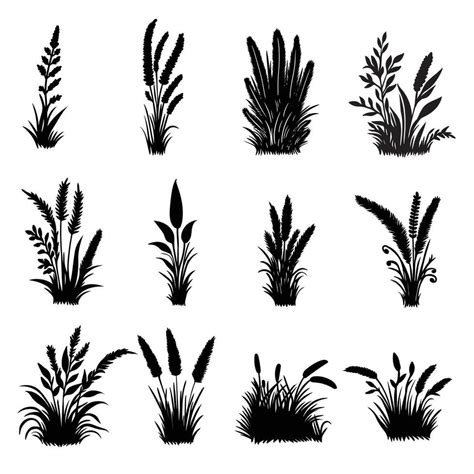 Grass Elements Set Collection Vector Illustration 35632982 Vector Art