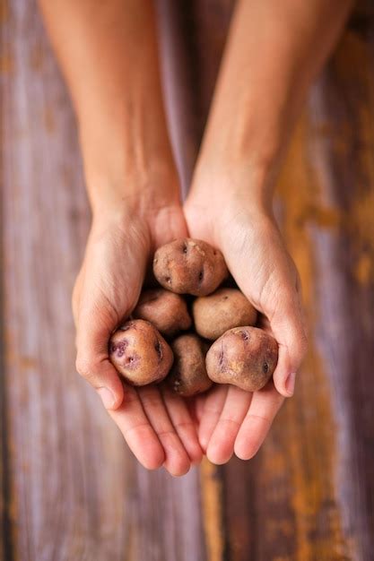 Page Potato Crop Images Free Vectors Stock Photos PSD