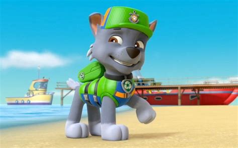 Породы собак в щенячьем патруле 🔥 имена щенков, их особенности