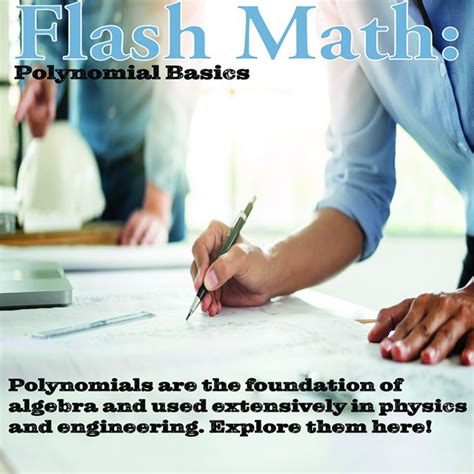Polynomials The Basics Insanitek