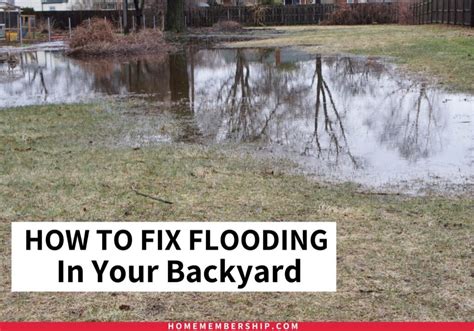 How To Fix Flooding In Backyard