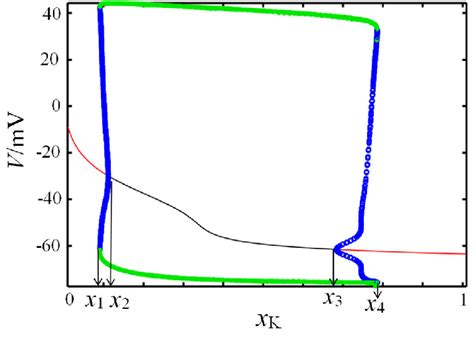 The Bifurcation Diagram For Hh Neuron Model Driven By Multiple