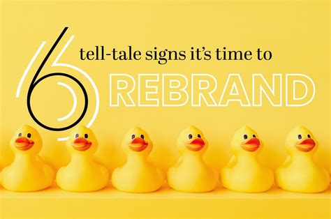 Tell Tale Signs Pistachiodesign