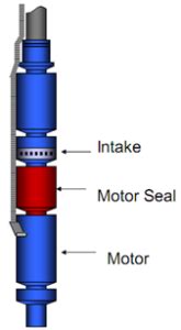 Motor Seal Production Technology