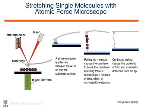 Ppt Single Molecule Manipulation Experiments Of Biological Molecules