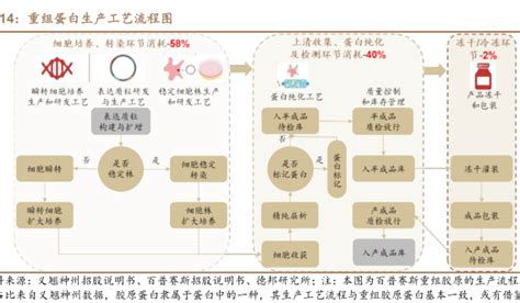 重组蛋白生产工艺流程图 2022年08月 行业研究数据 小牛行研