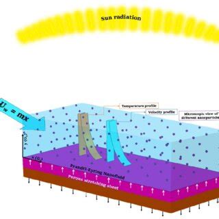 Diagram Of The Single Phase Flow Model Download Scientific Diagram