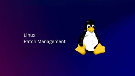 Future Proof Your Systems Effective Linux Patch Management Strategies Reddit Weekly