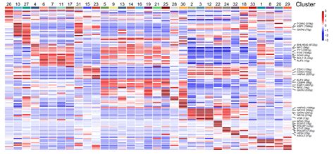 单细胞转录组数据的个性化分析汇总 生信菜鸟团