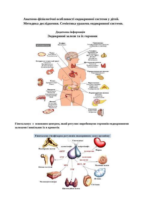 Тема 22, рабочая тетрадь по педиатрии | Упражнения и задачи Педиатрия ...