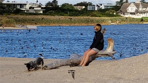 Fundraiser By Michele Passarella Help Michele Overcome Breast Cancer