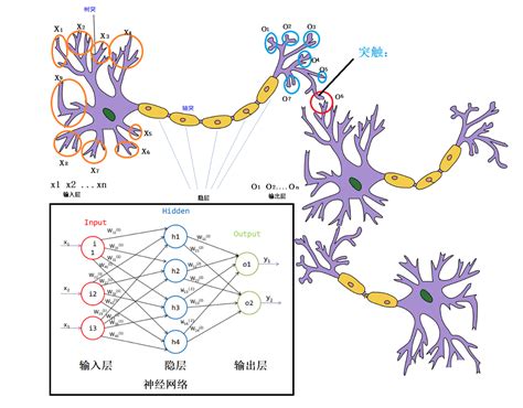 从零到99准确率：3天掌握神经网络开发，mnist手写识别代码，图解神经元工作原理与pytorch实战 Csdn博客