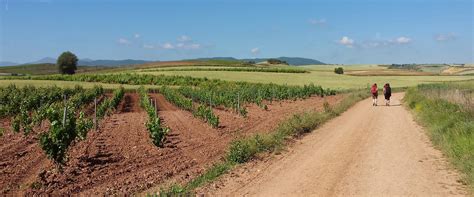 직장인을 위한 산티아고 순례길 7일 코스 추천