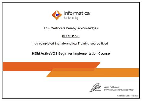 Businessprocessmanagement Datagovernance Informatica Datamanagement… Nikhil Koul