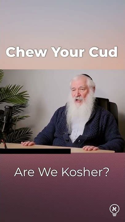 Chew Your Cud Youtube