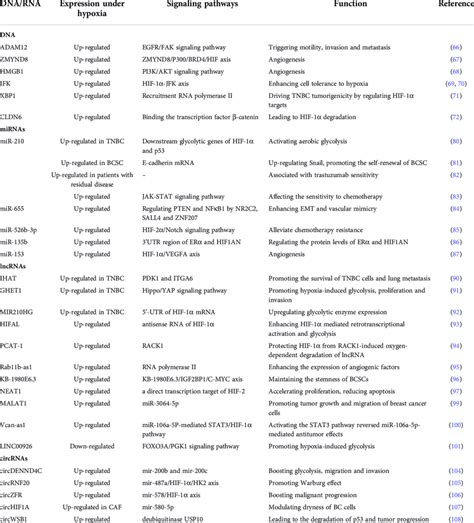 coding and non coding transcriptome in hypoxic tme download