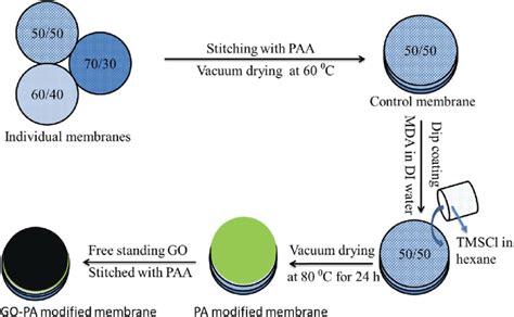 Schematic Representation Of Fabricating The Go Pa Modified Membrane