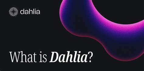 What Is Dahlia Dahlia