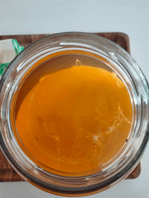 Scoby Dry On Top Kombucha Still Sweet But Somehow Fizzy Unlike