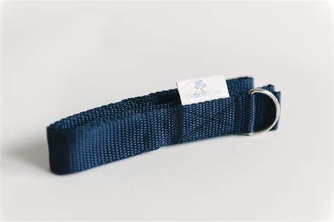 D Loop Strap The Scoliclinic Shop