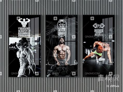 【健身房装饰画3d模型】 现代vr有灯光有贴图max2014健身房装饰画3d模型下载 Id699646 免费3dmax模型库 青模3d模型网