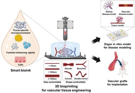 Full Article Advanced Strategies In 3d Bioprinting For Vascular Tissue